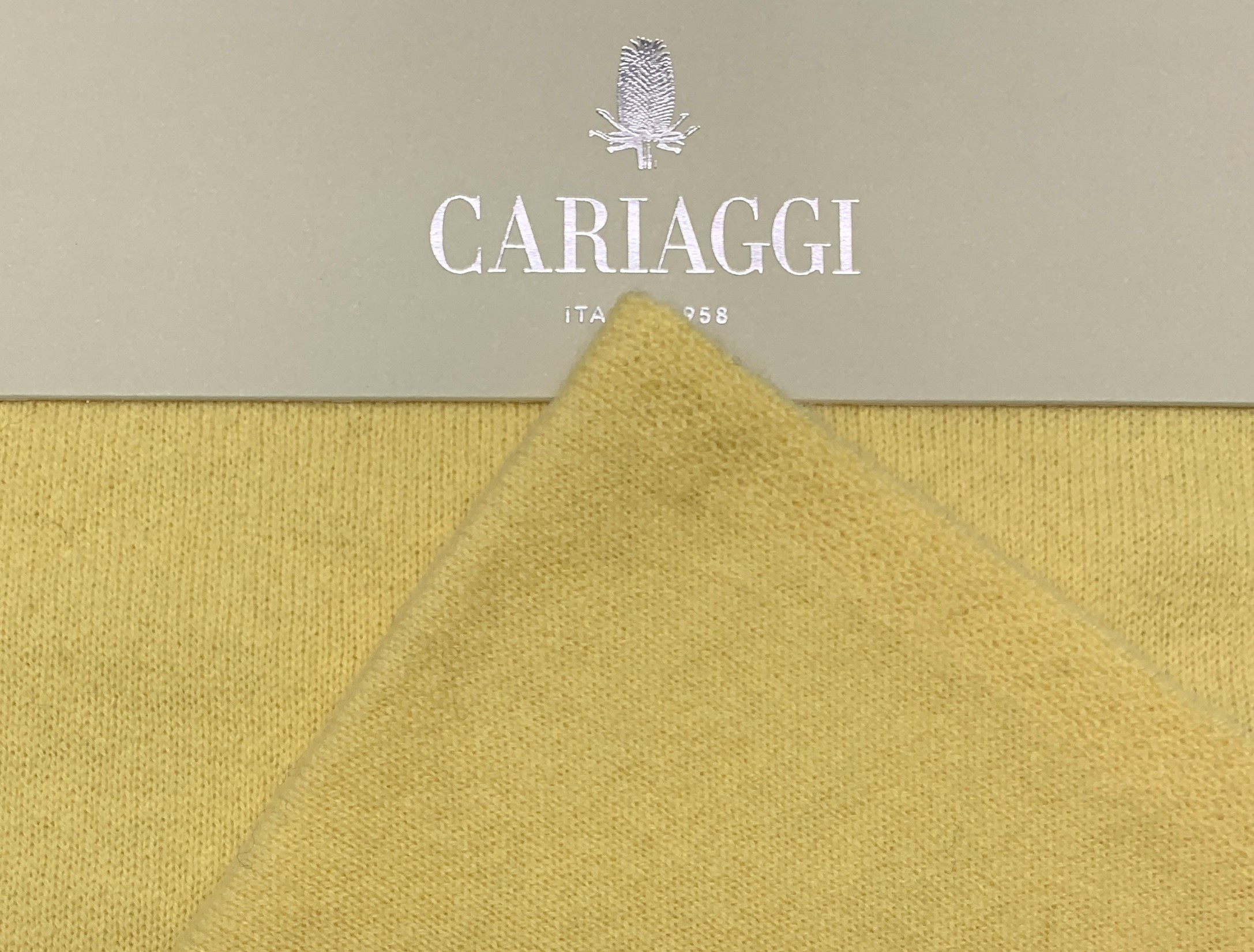 Cariaggi, nel 2021 segnali di ripresa del mercato - Pambianconews ...
